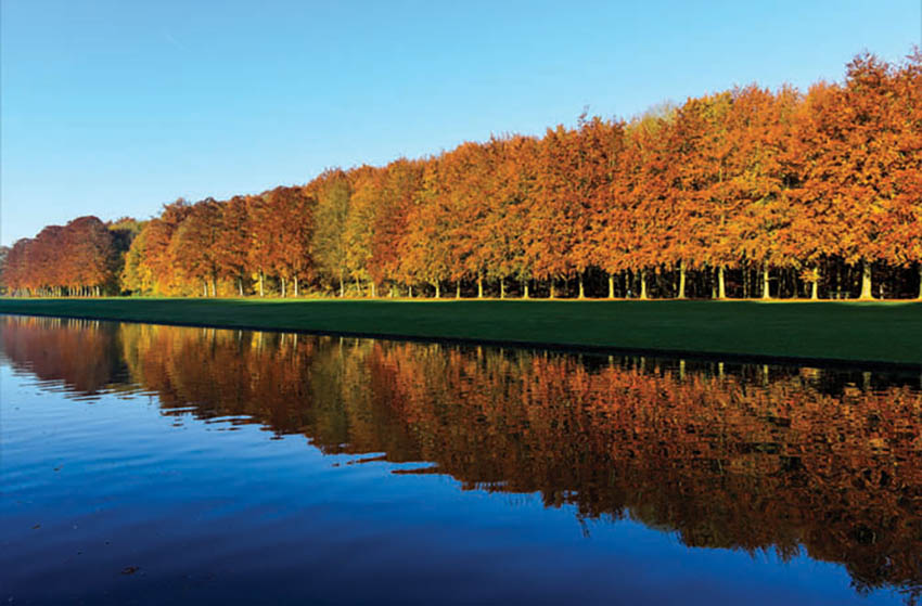 10 maart 2019 – Frank Nicolaï photography